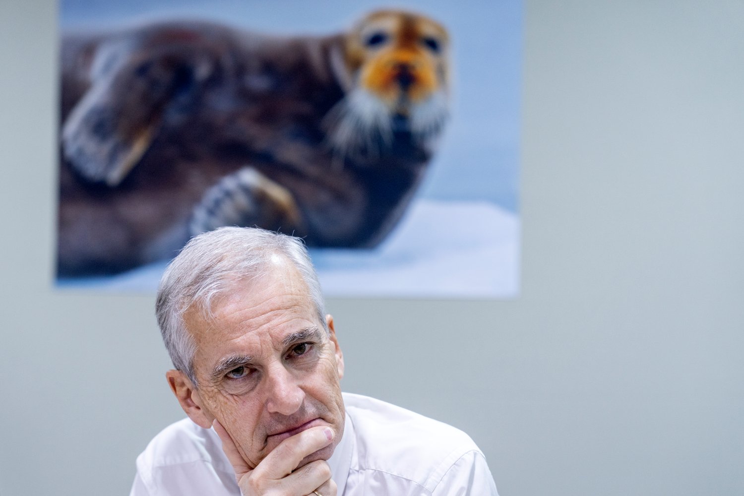 Støre om lakse-permitteringer: – Alvorlig for de som blir truffet - TV 2