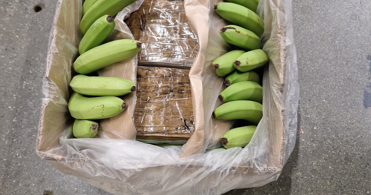 Nytt rekordfunn av kokain hos Bama - TV 2