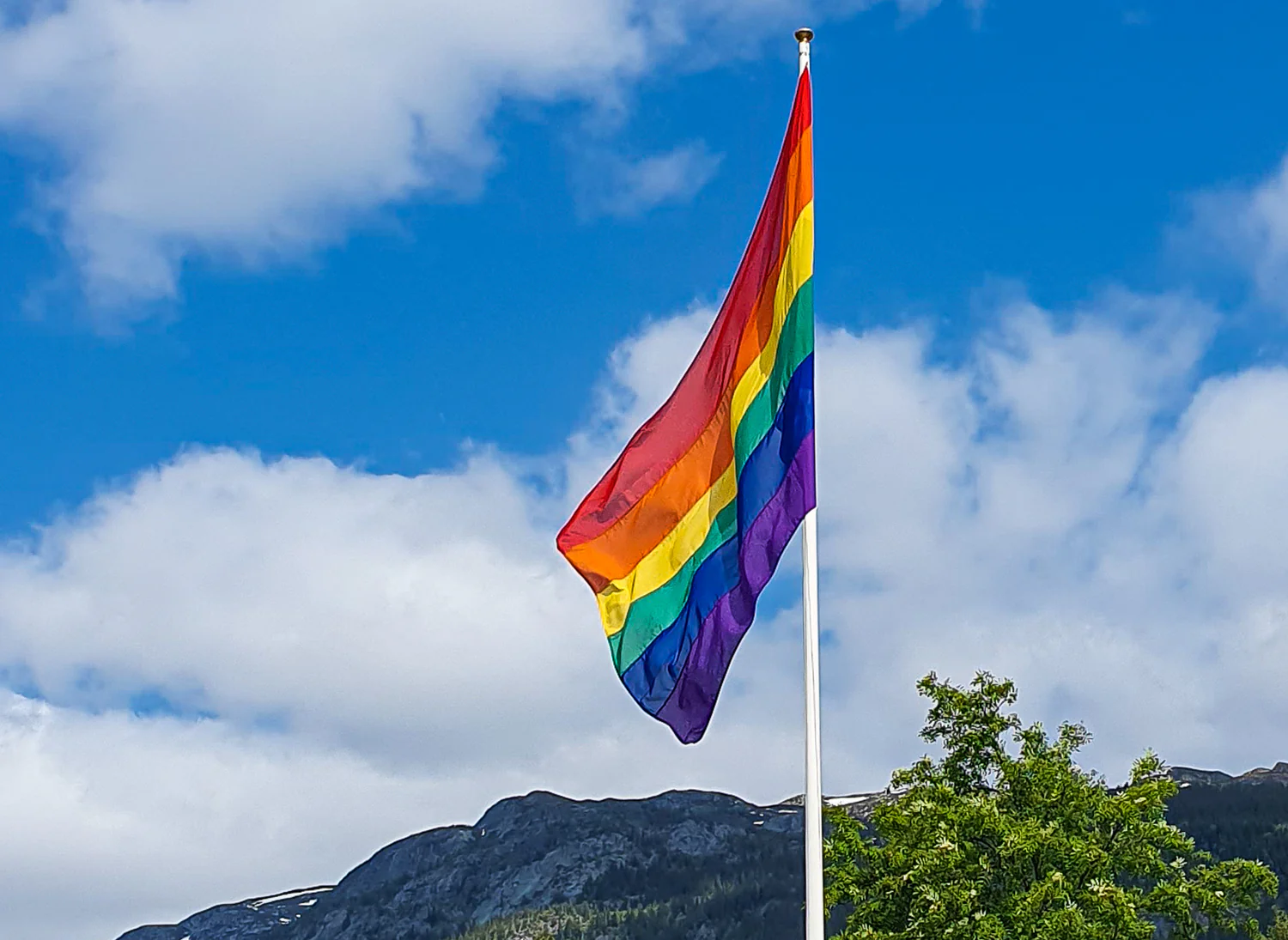 Regnbueflagg kappet ned og tent på ved barneskole - TV 2