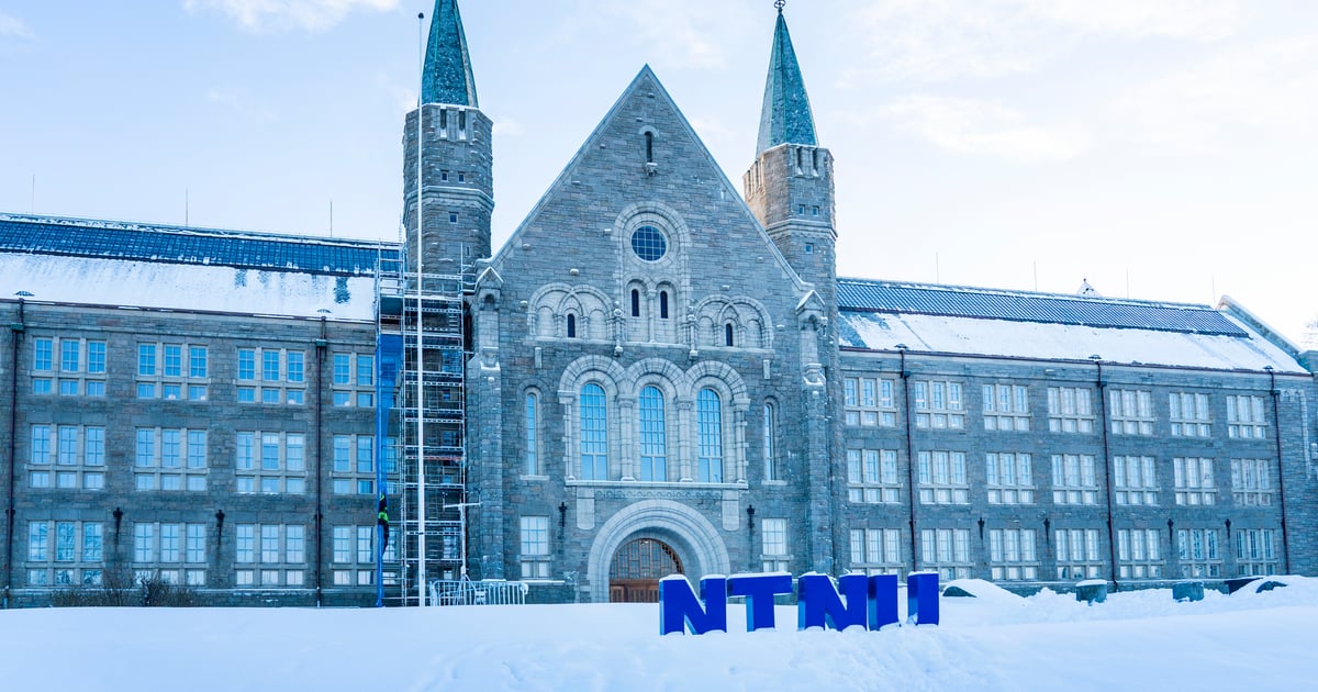 NTNU-rektor Anne Borg går av med umiddelbar virkning - TV 2