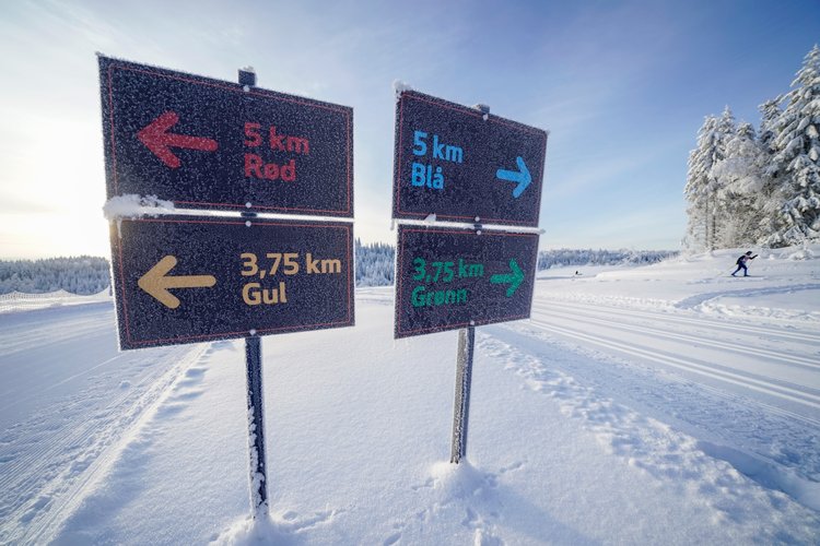Se etter kampen: Reaksjoner på Manchester Uniteds skjebnekamp - TV 2
