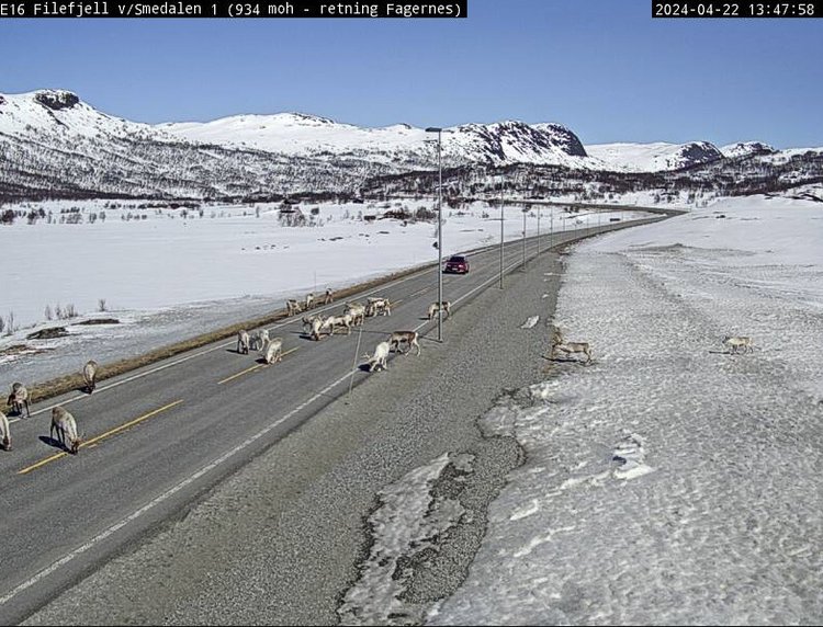 Kongen er skrevet ut av sykehuset - TV 2