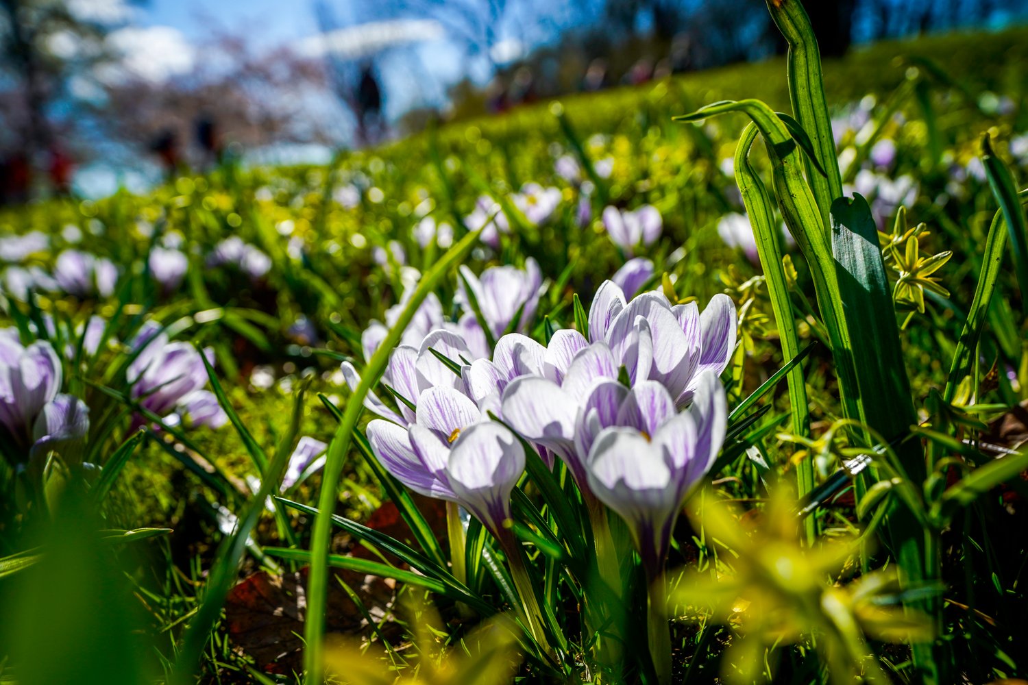 Kan bli over 20 grader i Sør-Norge i neste uke - TV 2