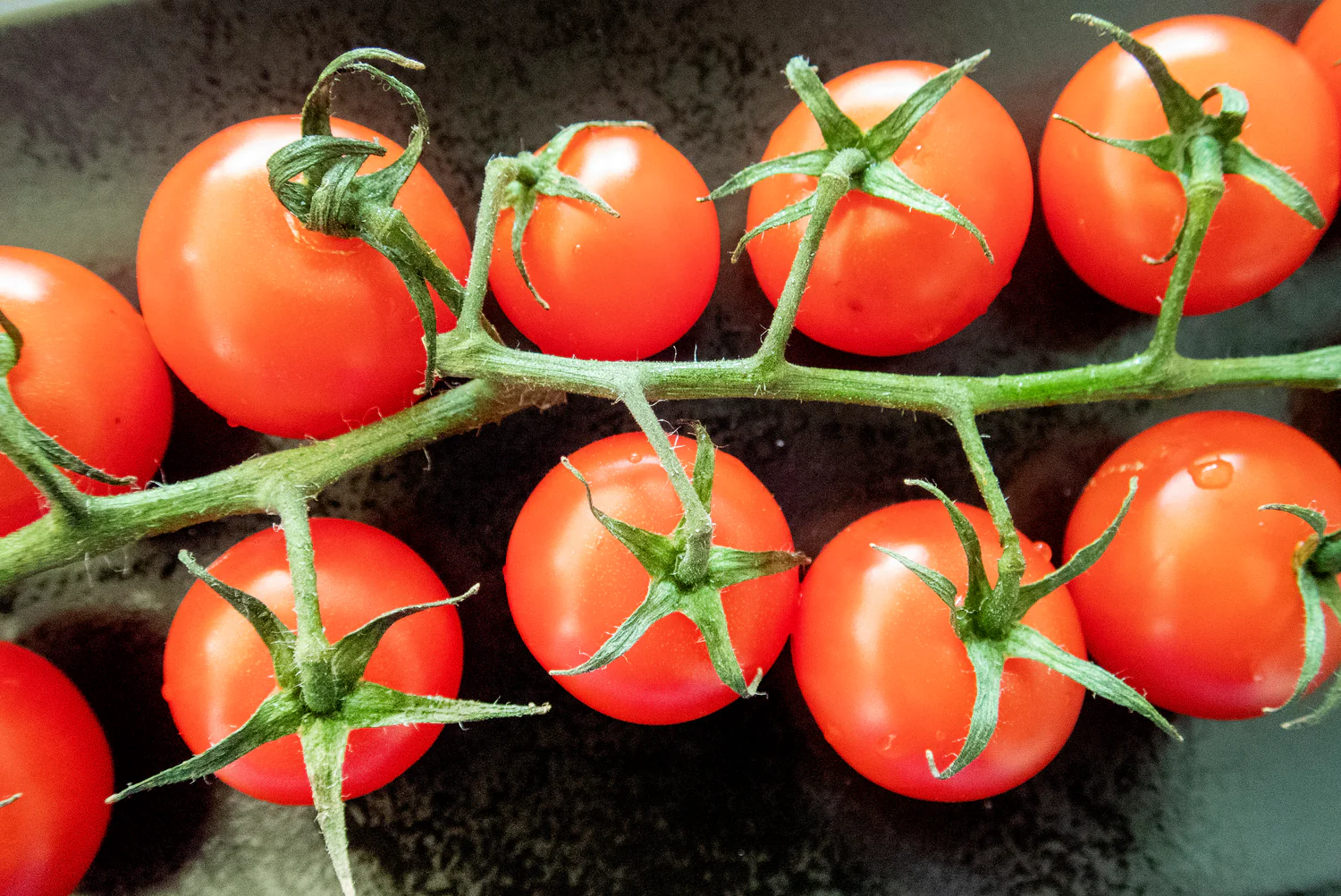 Rekordår for norske tomater - TV 2