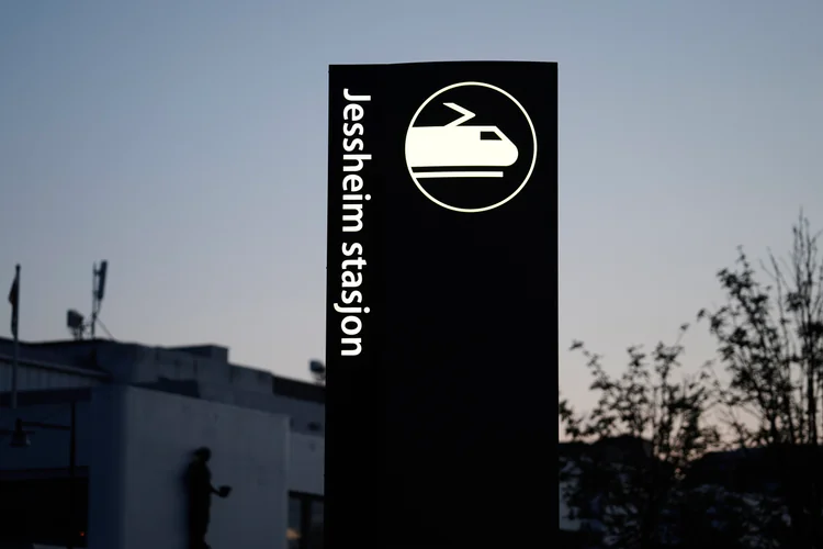 Tvedestrandsposten: Løpsk lama observert på veiene - TV 2