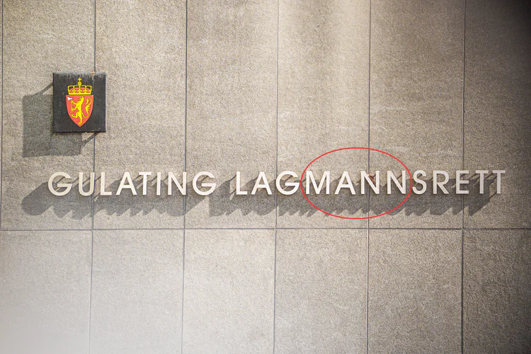 Skal fjerne mann fra lagmannsretten - TV 2