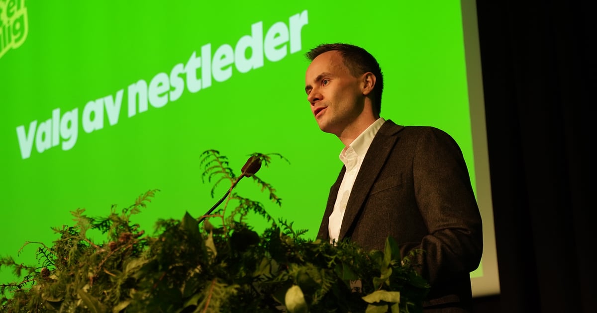 Jonas Maas Nilsen ny nestleder i MDG - TV 2
