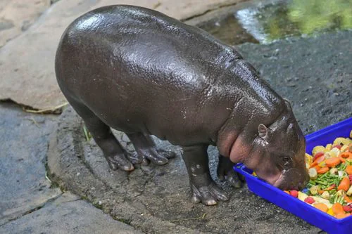 Hytte brant ned i Hallingdal - TV 2