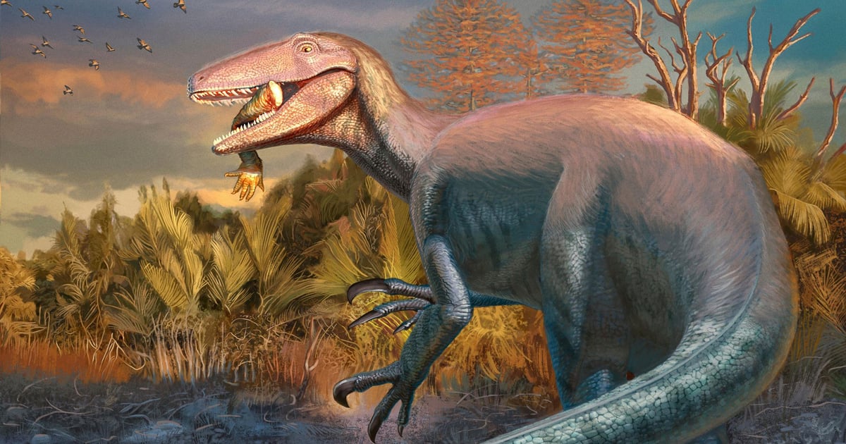 Gravde ut dinosaur med halvspist krokodille i munnen - TV 2