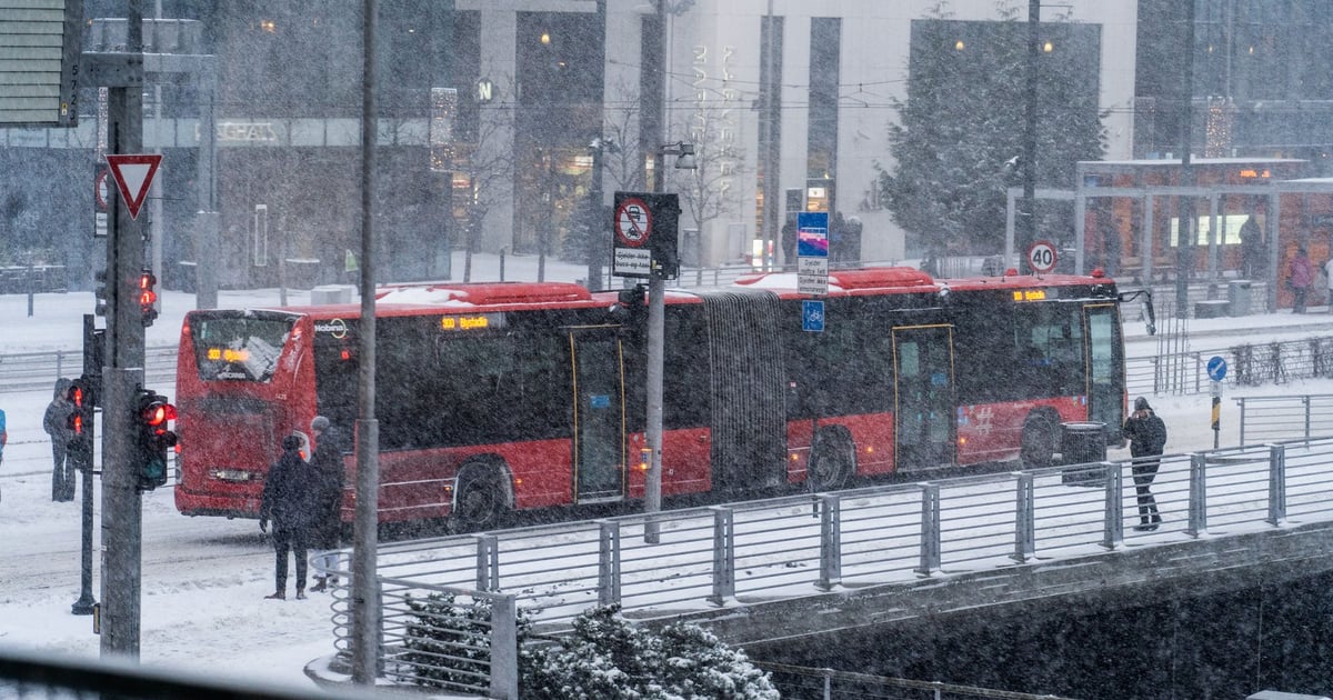 Busselskap saksøker Ruter - TV 2