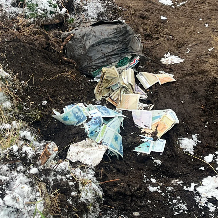 Varetektsfengsel i inntil tre måneder for bareieren i Sveits - TV 2