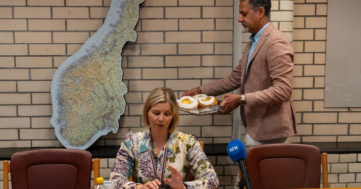 Venstre tar beslutning om nestleder - TV 2