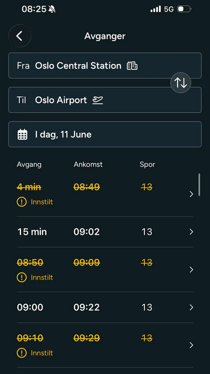 Tenåring omkom etter kollisjon med elg i Trondheim - TV 2