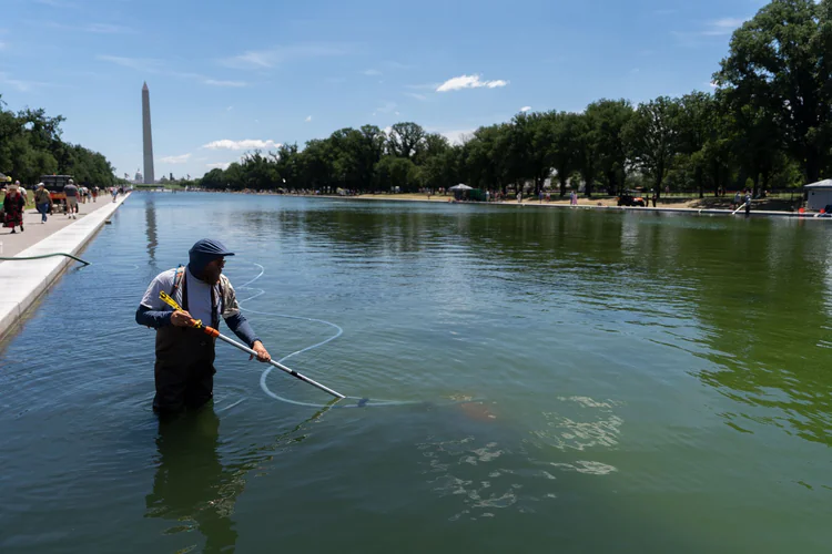 Trump: Flere pågrepet for hærverk mot speilbassenget i Washington - TV 2