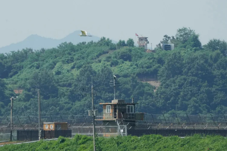 Nordkoreansk soldat i sørkoreansk varetekt etter grensekryssing - TV 2